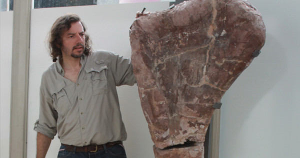 Hallazgo del Notocolossus: "uno de los más más grandes del mundo ...