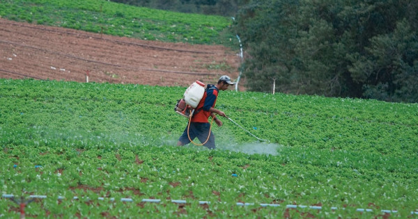Vivir con agroquímicos en el cuerpo: "Representamos lo que la población ...
