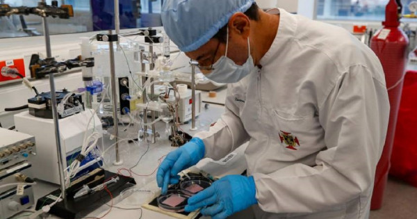 Científicos logran desarrollar material "vivo" que podría imitar los ...