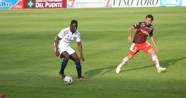 El Pastor azul - Unidiversidad