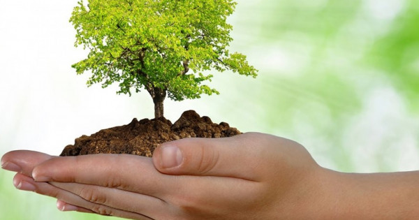 El medio ambiente y el desarrollo sustentable - Unidiversidad